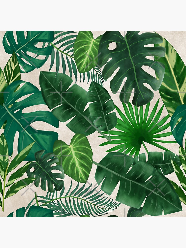 "Tropical Leaves Variety Pattern" Sticker for Sale by Kevin-PR | Redbubble