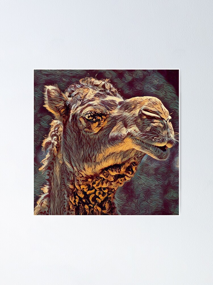 "Camel" Poster for Sale by 1-1-0 | Redbubble