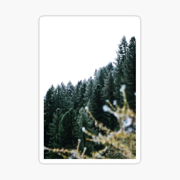 "Pine" Sticker for Sale by EShop3 | Redbubble