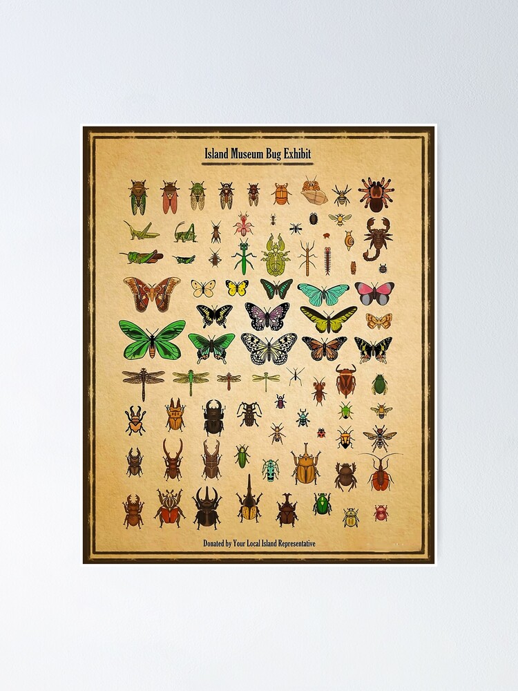 "Island Museum Bug Exhibit" Poster for Sale by clothingart8 | Redbubble