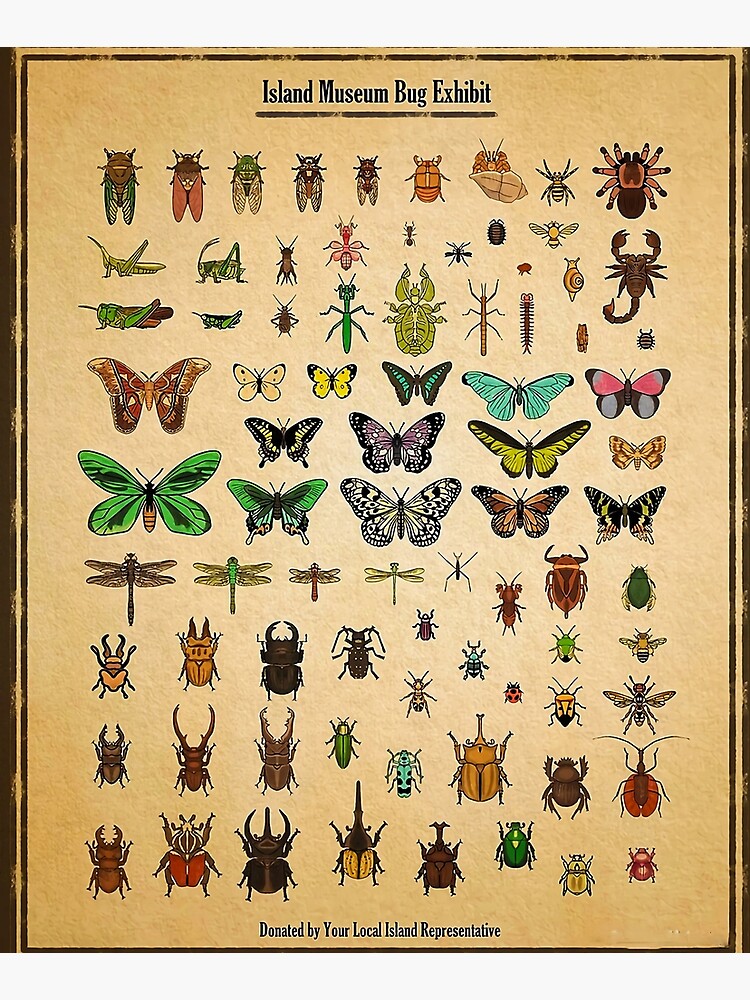 "Island Museum Bug Exhibit" Mounted Print for Sale by clothingart8 | Redbubble