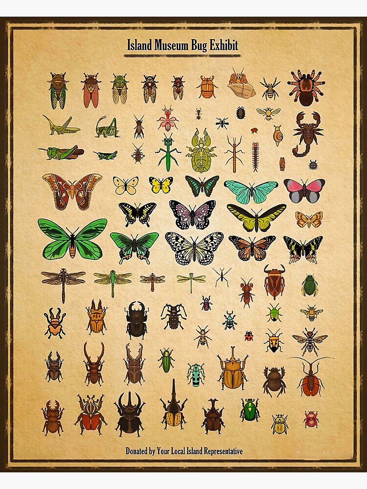 "Island Museum Bug Exhibit" Sticker for Sale by clothingart8 | Redbubble
