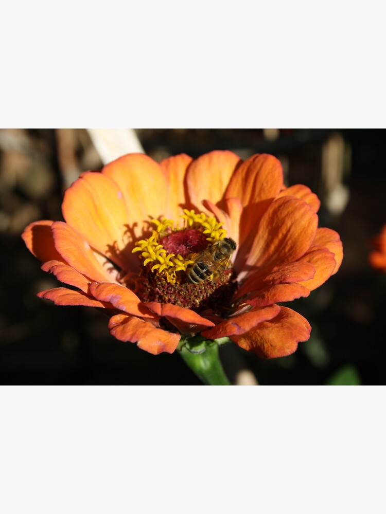 "Zinnea and Bee" Sticker for Sale by JustArtz | Redbubble