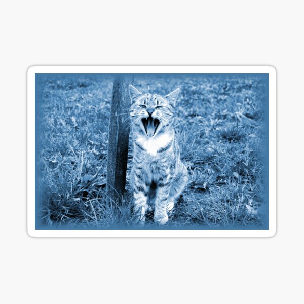 "Yawning Cat in Blue Hue" Sticker for Sale by merryawe | Redbubble