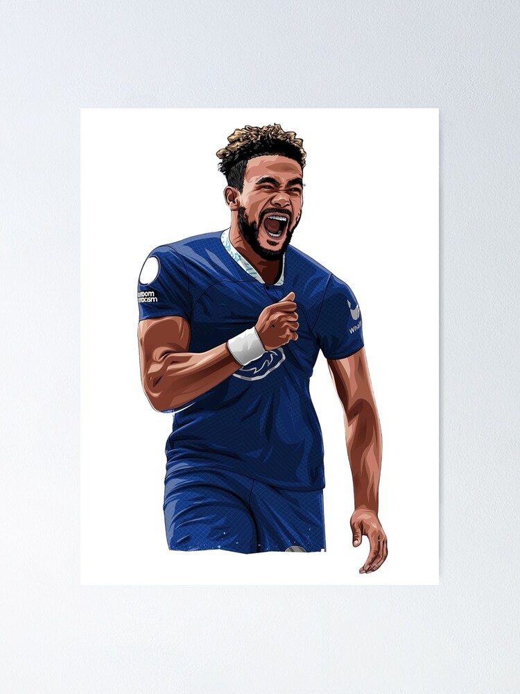 "REECE JAMES ILLUSTRATION" Poster for Sale by bruno-baldwin | Redbubble