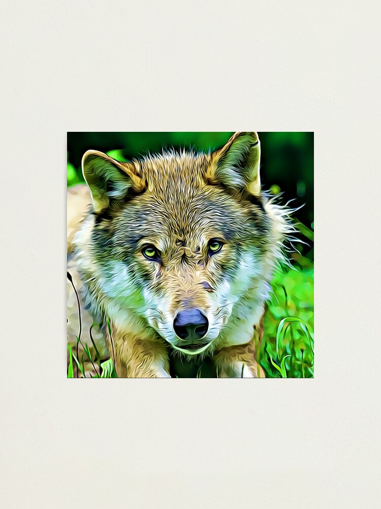 "Green wolf eyes" Photographic Print for Sale by MiaMoonShop | Redbubble