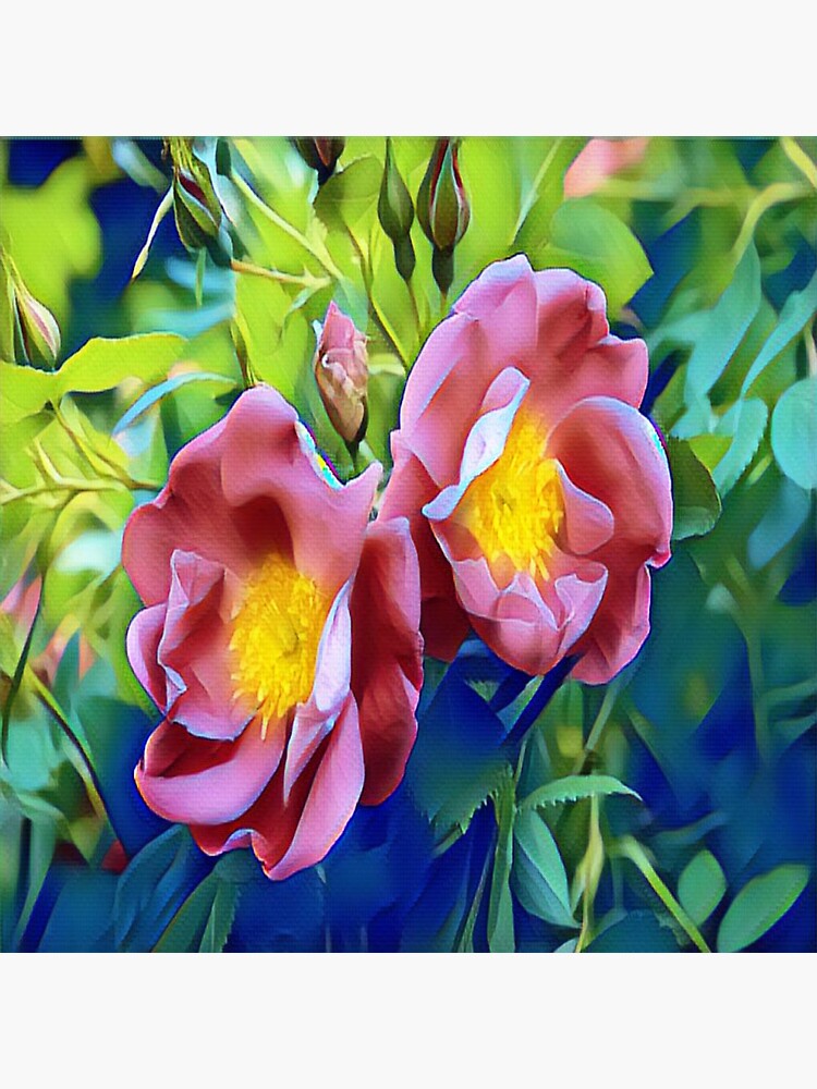 "PINK RUGOSA PAINTING" Sticker for Sale by KatisDesign | Redbubble