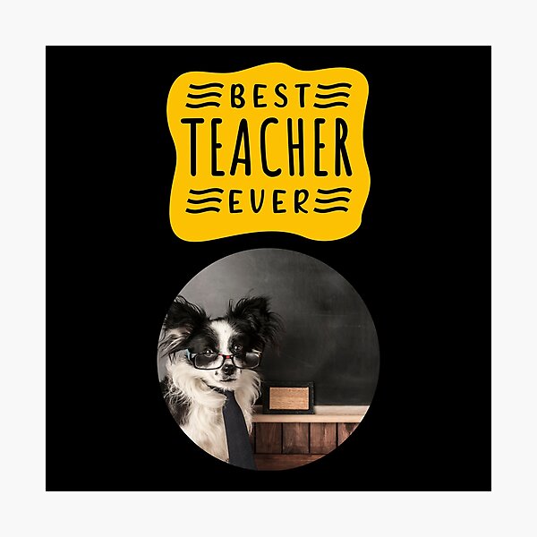 Lámina fotográfica «El mejor maestro de todos los tiempos, meme ...