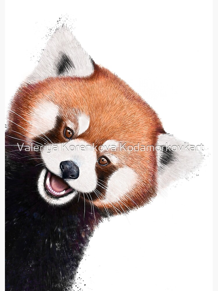 "Red panda" Poster for Sale by kodamorkovkart | Redbubble