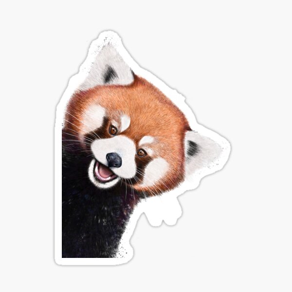 "Red panda" Sticker for Sale by kodamorkovkart | Redbubble
