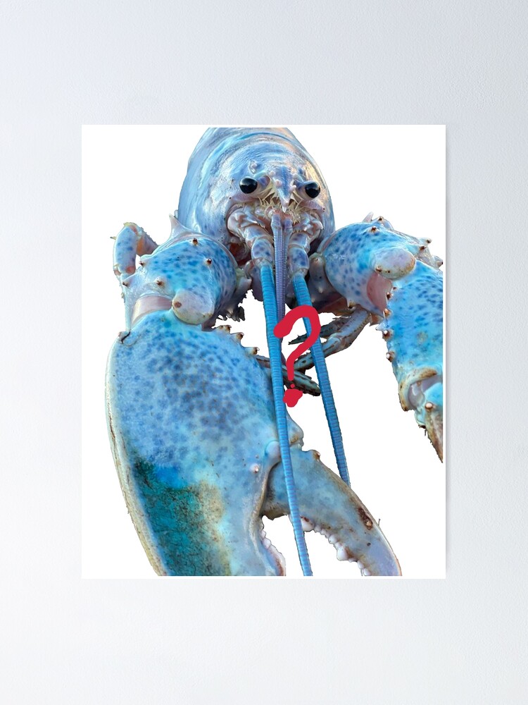 "blue lobster jumpscare meme" Poster for Sale by Sr-vinnce | Redbubble