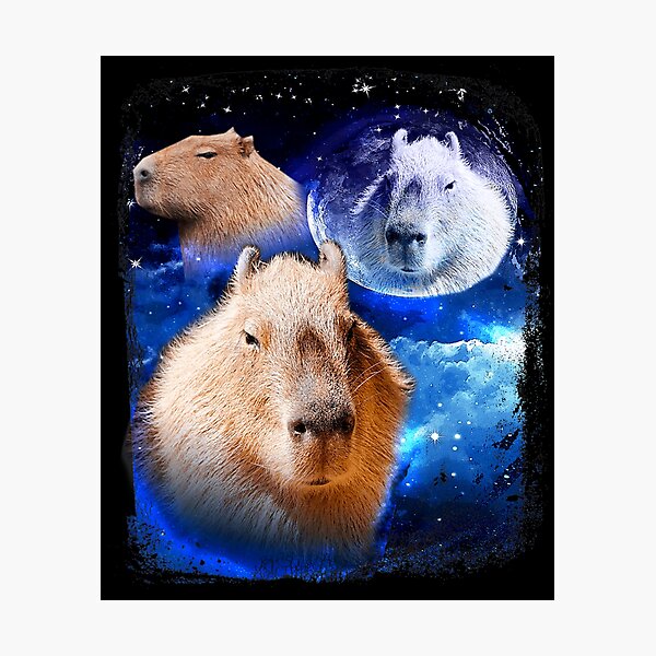 "Capybara Meme moon Funny Capybaras Vintage Kawaii" Photographic Print ...