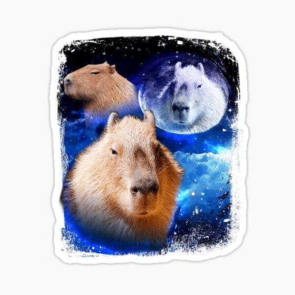 "Capybara Meme moon Funny Capybaras Vintage Kawaii" Sticker for Sale by ...