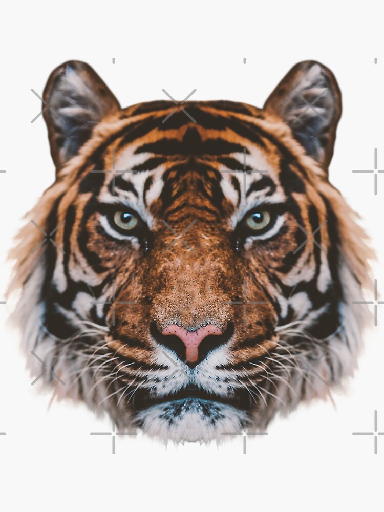 "Tiger Face" Sticker for Sale by CritterSticker | Redbubble