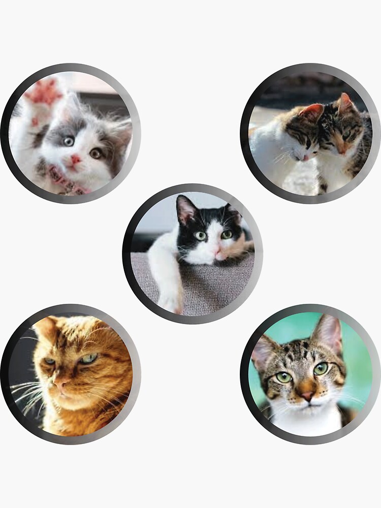 "cute cat club" Sticker for Sale by sjnawiti | Redbubble