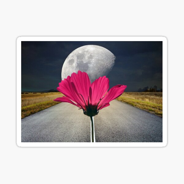 "Spacey Cosmos" Sticker for Sale by FrankieCat | Redbubble