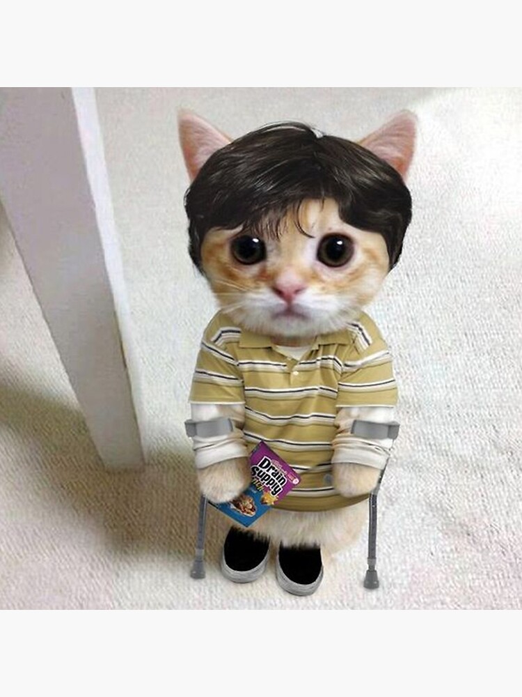 "Walter White Jr Cat Meme" Art Print for Sale by watlerwhite | Redbubble