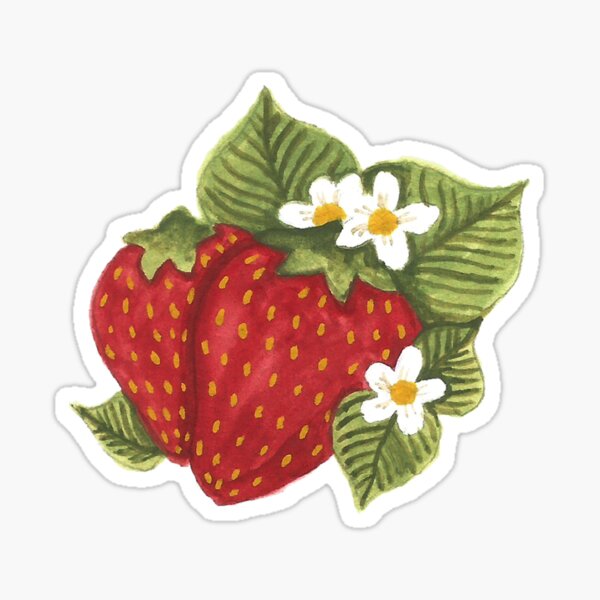 "Little Strawberries" Sticker for Sale by Ash-Elizabeth | Redbubble