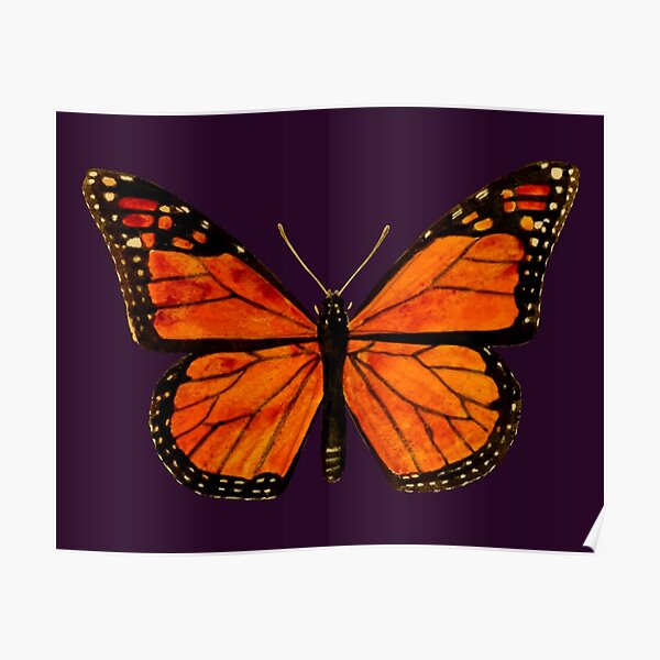 "monarch butterfly " Poster for Sale by artbleed | Redbubble