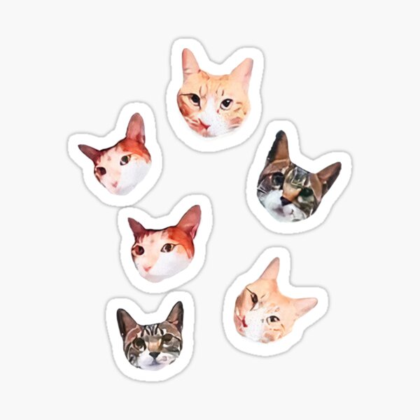 "Know Cats pack" Sticker for Sale by BAKSTAR | Redbubble