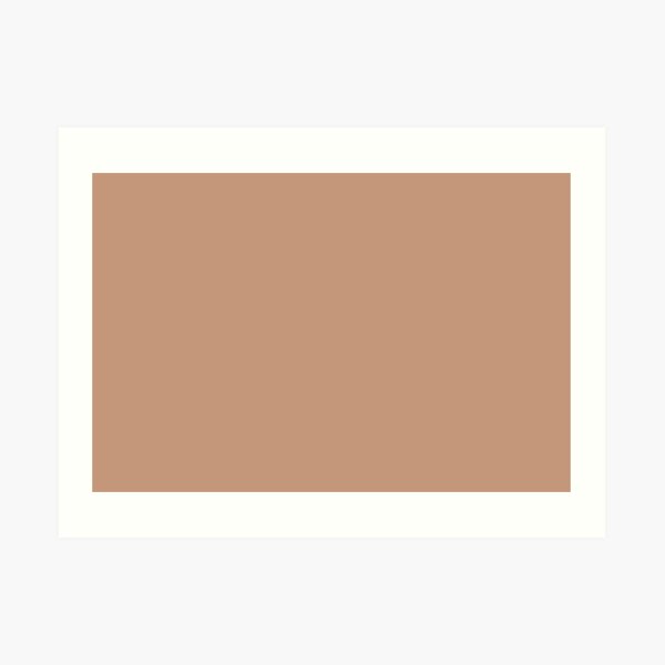 "Dark Peach Solid Color Pairs 2023 Color of the Year Valspar Desert ...