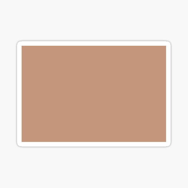 "Dark Peach Solid Color Pairs 2023 Color of the Year Valspar Desert ...