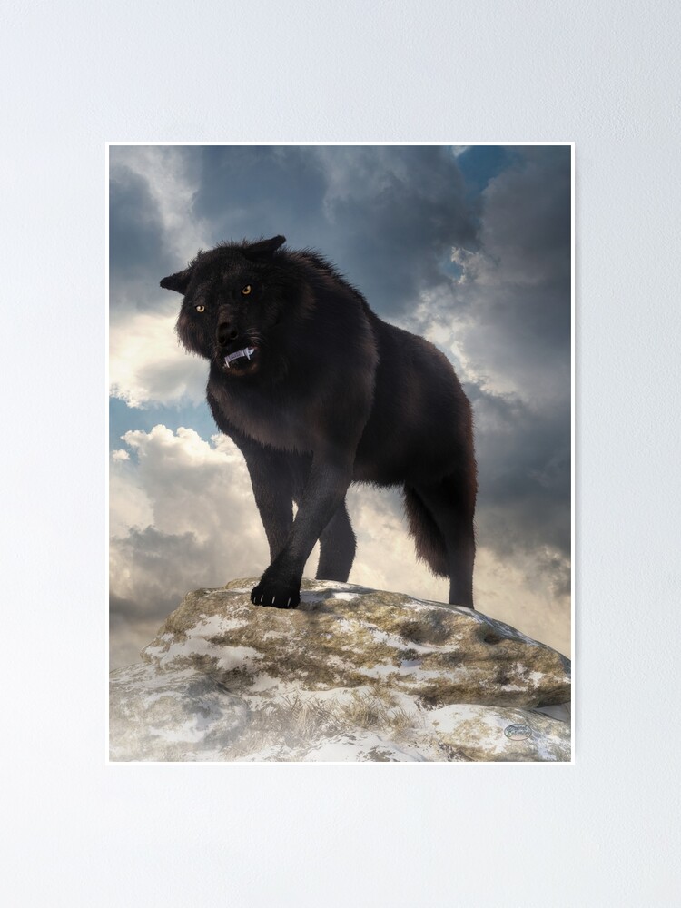 "Angry Black Wolf" Poster for Sale by Daniel Eskridge | Redbubble