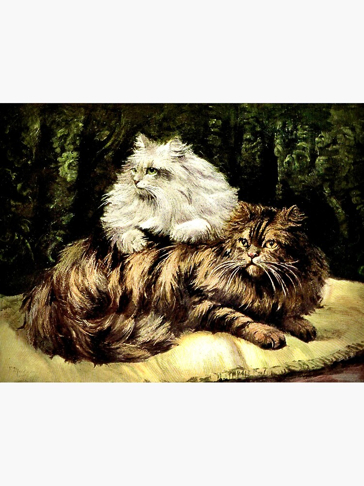 "Brown Tabby and Silver Persians" Sticker for Sale by Kid-Genius ...