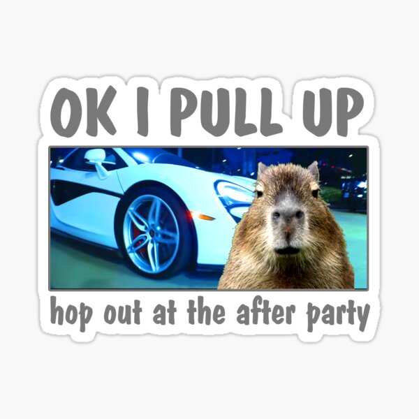 "Ok I Pull Up Capybara Meme After Party Rap Song Funny LOL Comedy ...