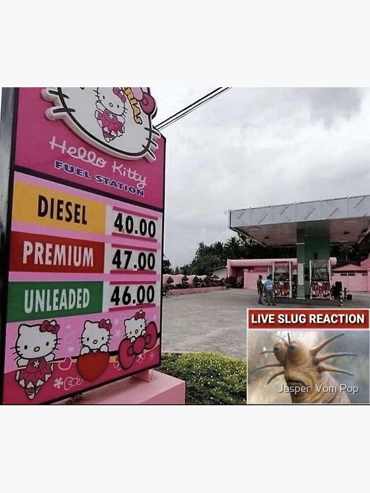 "Funny Cat And Slug Meme Sticker" Sticker for Sale by LaynaCreations ...