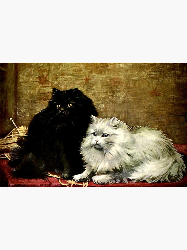 "Black and White Persians" Sticker for Sale by Kid-Genius | Redbubble