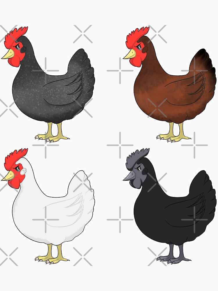 "Four Chicken Breeds" Sticker for Sale by Ziamearia | Redbubble