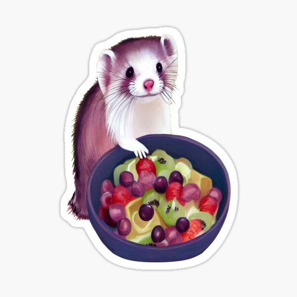 "Cute ferret sitting in front of a bowl of fruit salad // Animal Fun ...