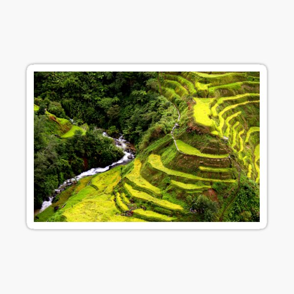"Stairway to the sky, Banaue rice terraces" Sticker for Sale by ...