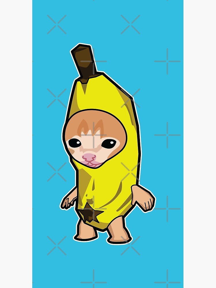 Cat In Banana Costume Meme Poster For Sale By Rzera Redbubble