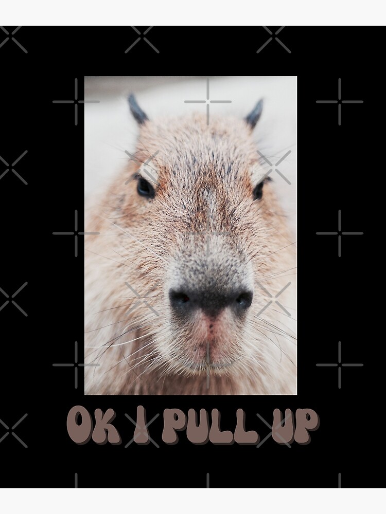 "Ok I Pull Up.Capybara Meme-Funny Quotes" Photographic Print for Sale ...