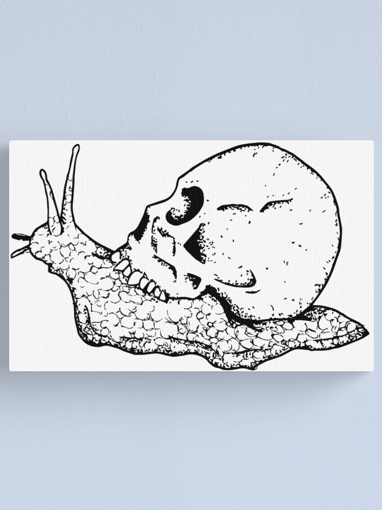 Snail Skull Mini #123 Sculpture Art & Collectibles etna.com.pe