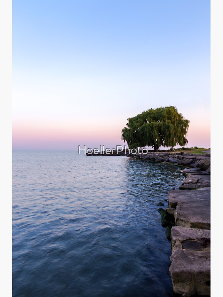 "Willow Tree - Cleveland Ohio" Sticker by HoellerPhoto | Redbubble