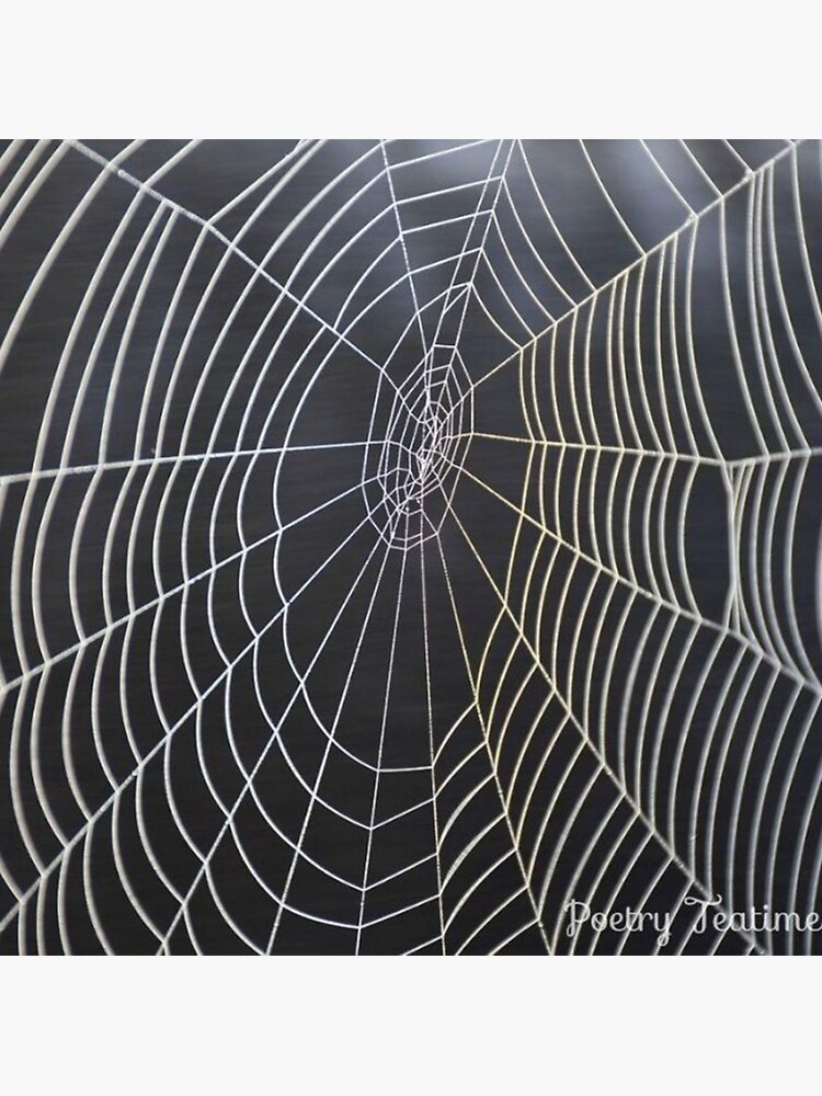 "spider web" Sticker for Sale by QUANTUM-STORE | Redbubble