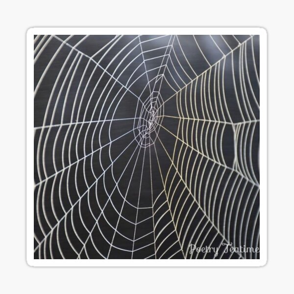 "spider web" Sticker for Sale by QUANTUM-STORE | Redbubble