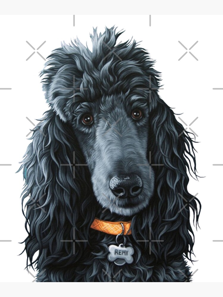 "Silly Tubby Poodle Mix Dog Sticking Tongue Out" Poster for Sale by ...