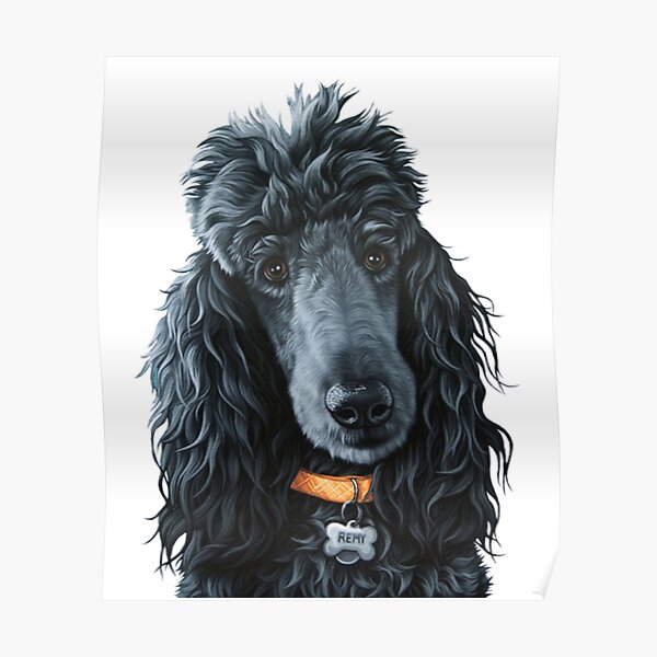 "Silly Tubby Poodle Mix Dog Sticking Tongue Out" Poster for Sale by ...