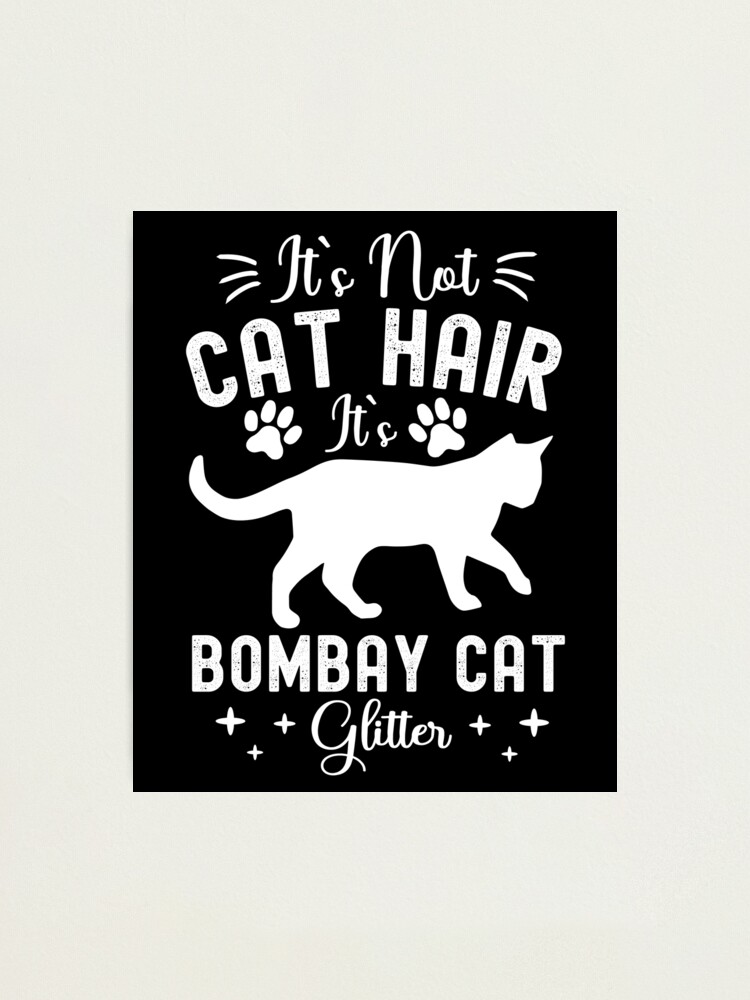 "Es ist kein Katzenhaar, es ist Bombay Cat Glitter, lustige Bombay Cat ...