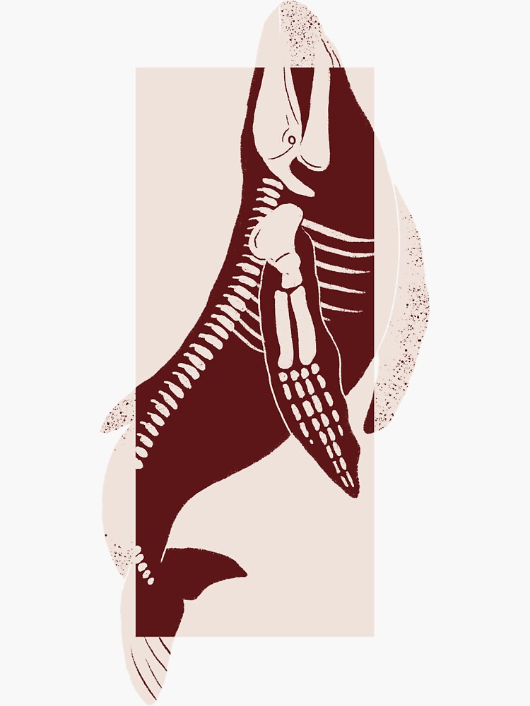 "X-ray whale in red" Sticker for Sale by MidnightHaus | Redbubble