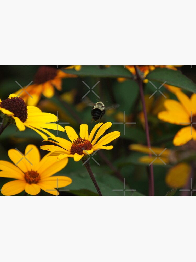"Flight 800 Memorial Garden" Sticker for Sale by Kirstyshots | Redbubble