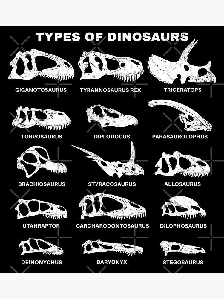 "dinosaur fossils" Poster for Sale by NicGrayGraphic | Redbubble