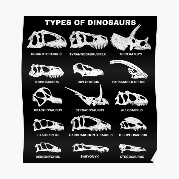 "dinosaur fossils" Poster for Sale by NicGrayGraphic | Redbubble
