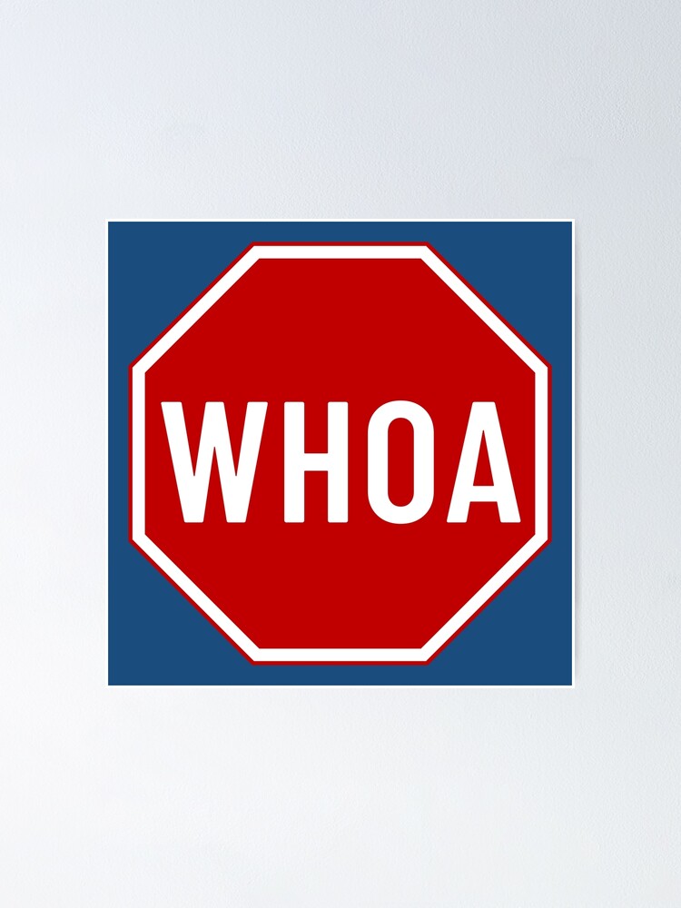 "WHOA Stop Sign" Poster for Sale by NoPainnoBrain | Redbubble