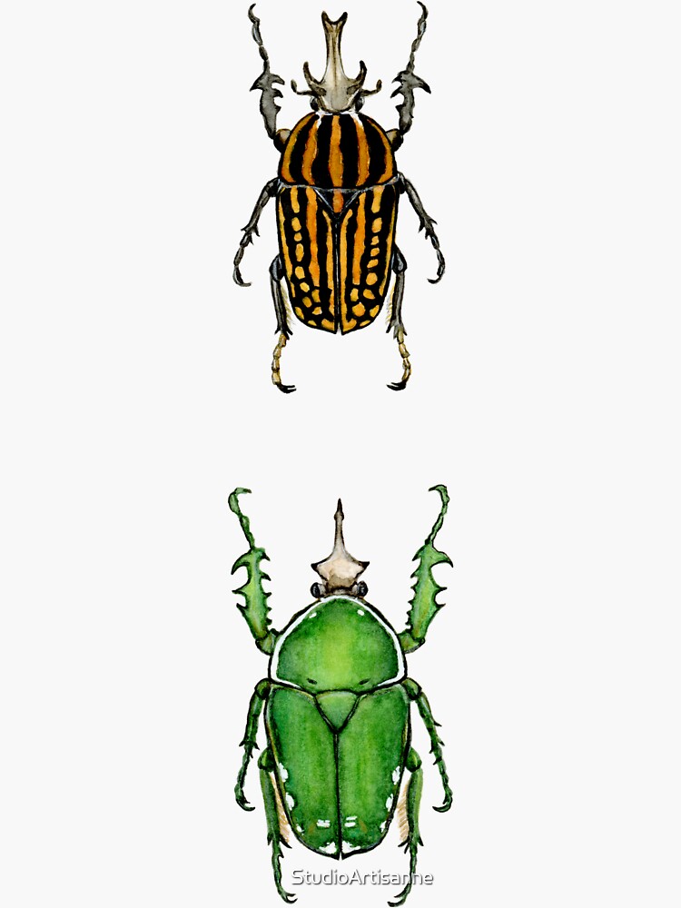 "Beetles duo" Sticker for Sale by StudioArtisanne | Redbubble