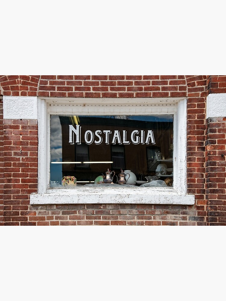 "Nostalgia Window Dressing" Poster for Sale by roxanebay | Redbubble